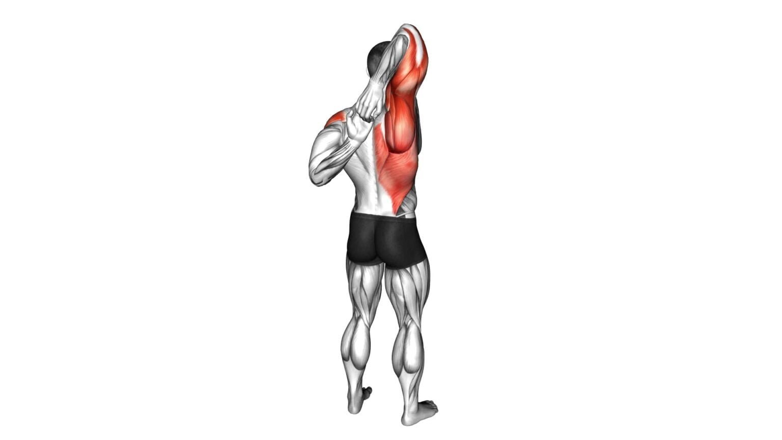 Shoulder Stretch Behind The Back: Video Guide & Tips For Effective Exercise