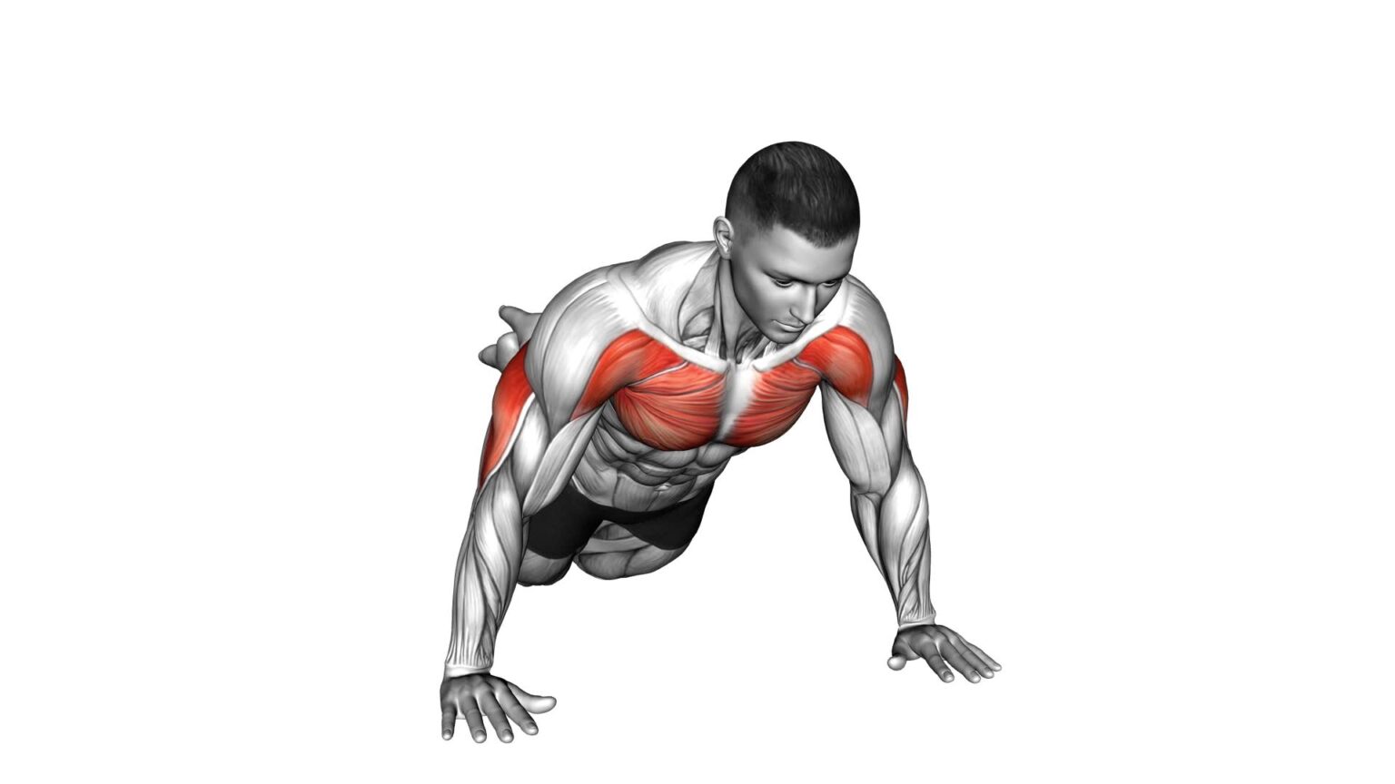 Side Kneeling Push-up: Video Guide & Tips For Men