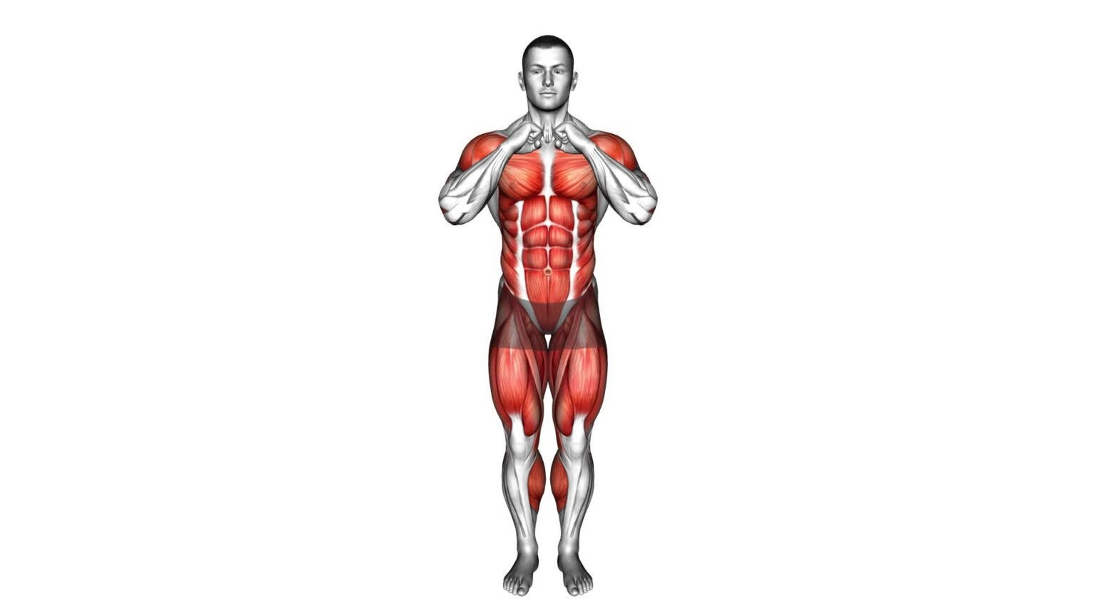 Ultimate Male Workout: Single Arm Punch & Side Knee Raise - Video Guide ...
