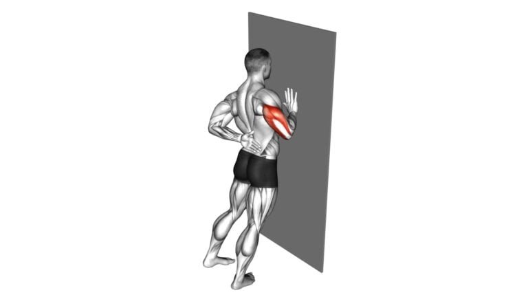 Wall Walks - Ultimate Exercise Guide & Tips