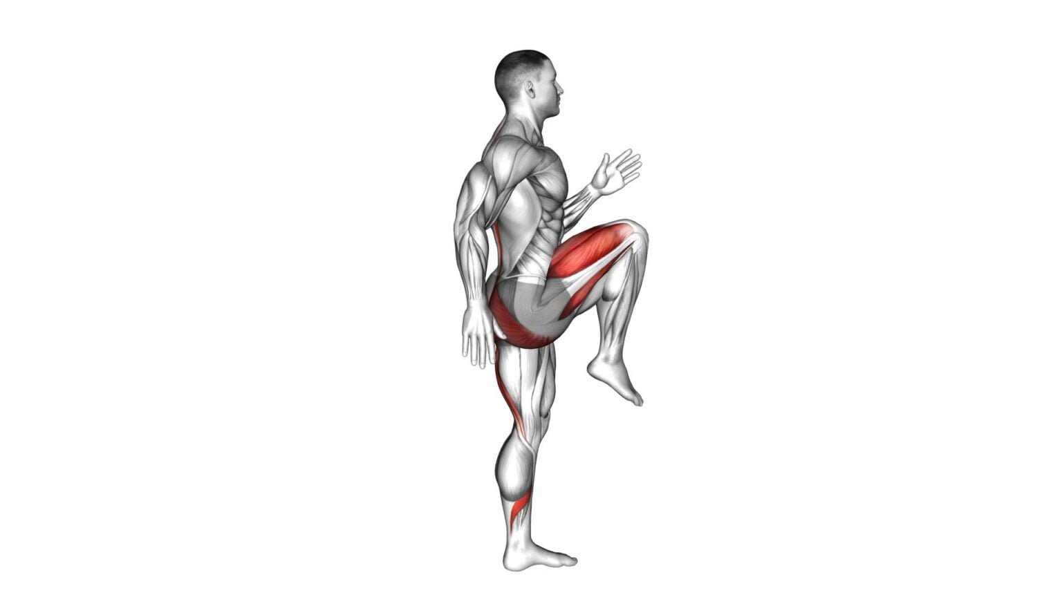 Single Leg Deadlift: Video Guide & Tips
