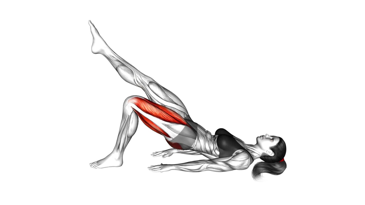 Single Leg Glute Bridge Hold For Men - Video Guide & Tips