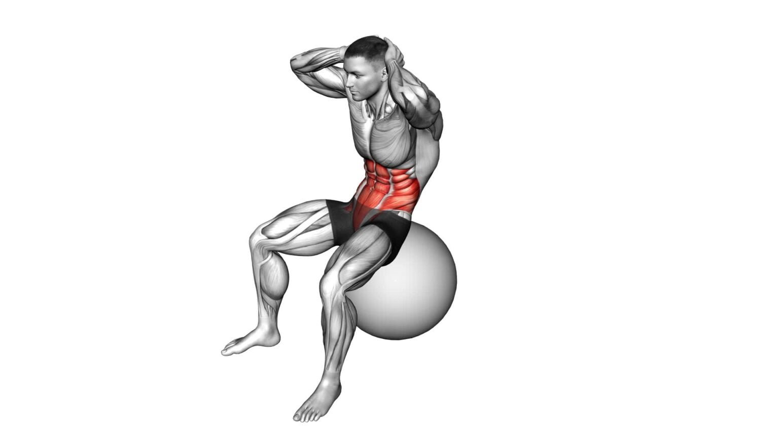 Stability Ball Sit-Up: Ultimate Exercise Guide & Tips [Video]