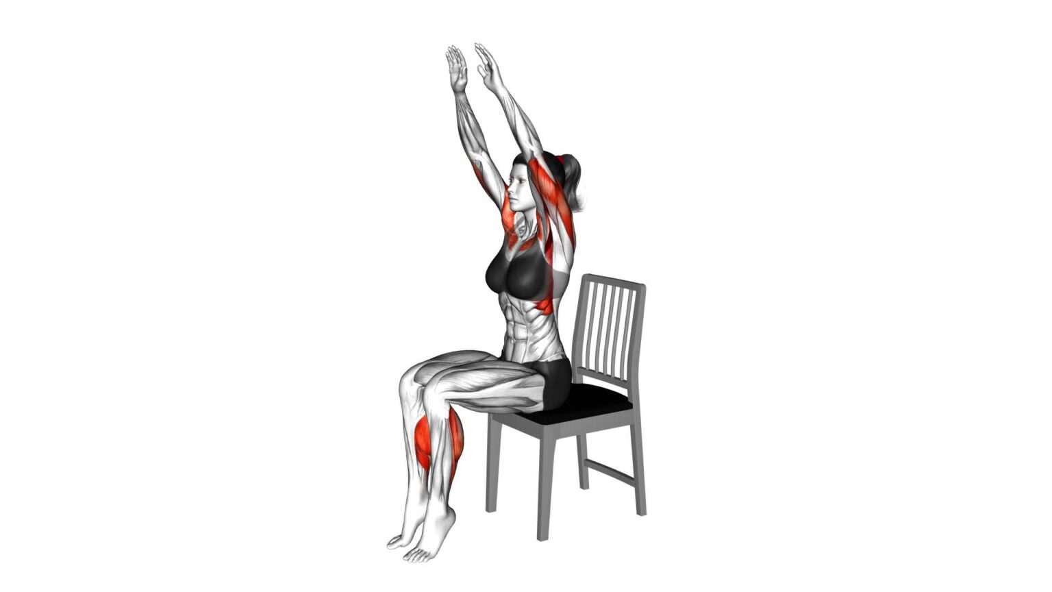 Chair Calf Raise: Video Guide & Tips For Female - Sitting Incline Press
