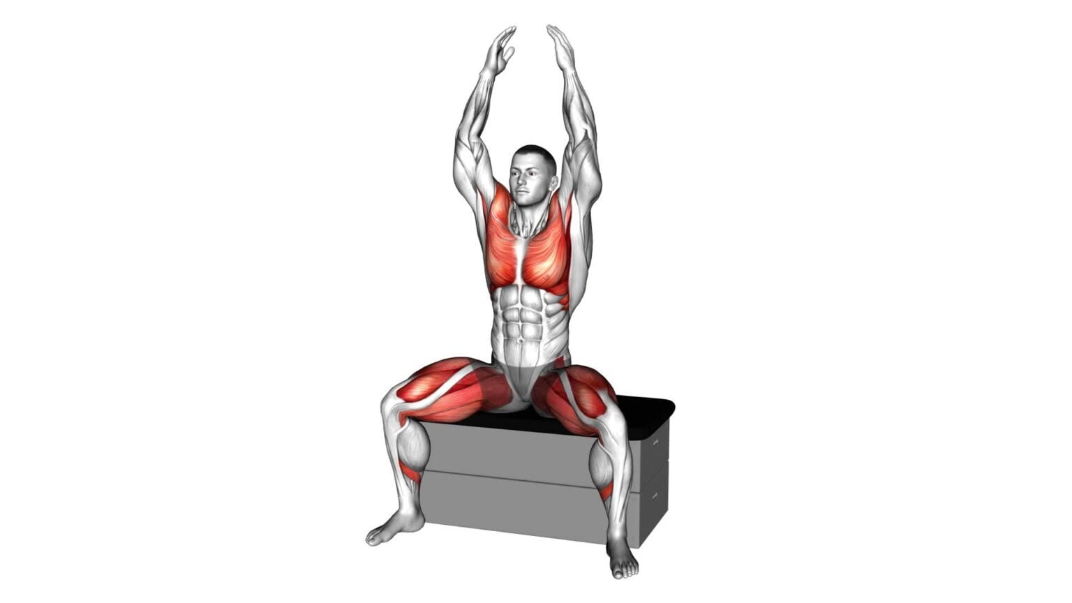 Video Exercise Guide & Tips: Sitting Jack On A Padded Stool
