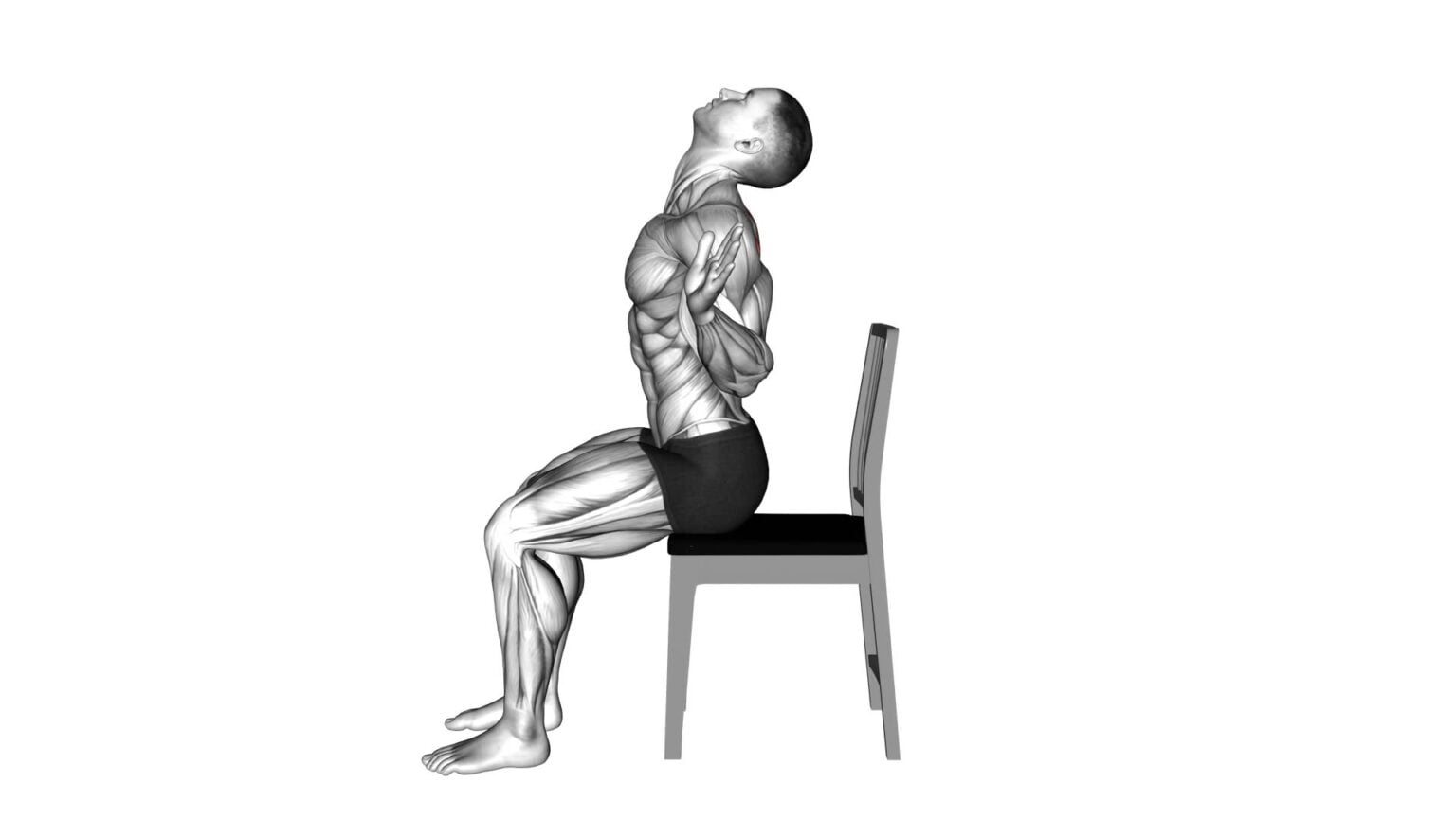 Scapular Pull-up: Ultimate Guide & Tips