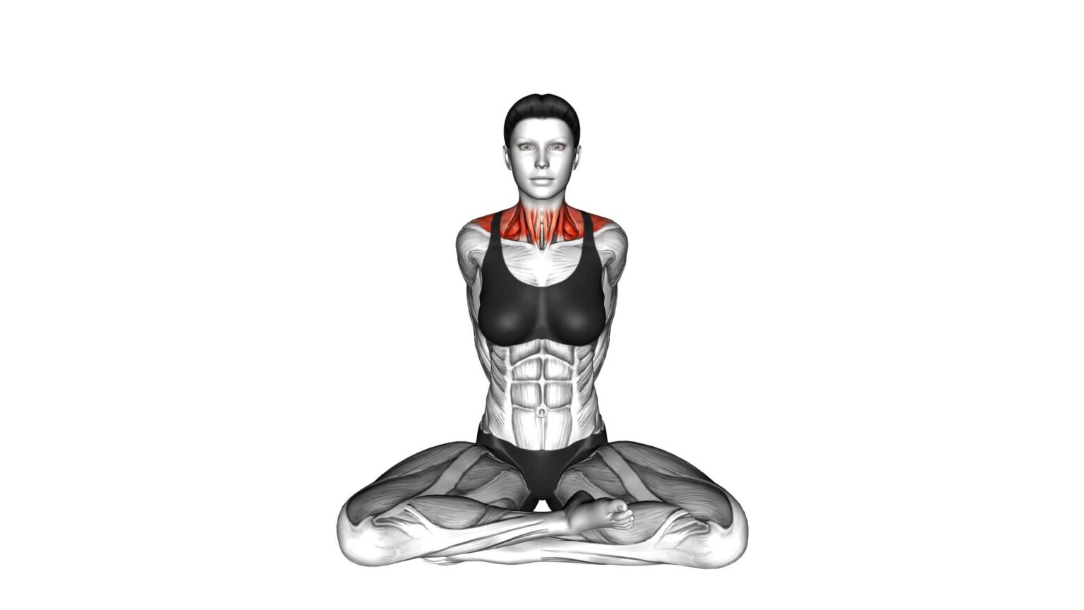 Sitting Side Neck Stretch (female) - Video Exercise Guide & Tips ...