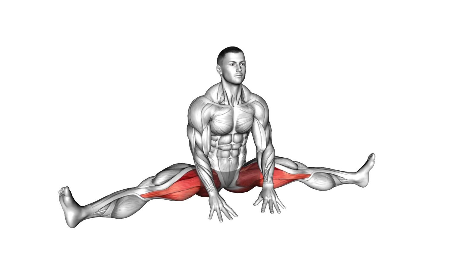 Sitting Wide Leg Adductor Stretch - Exercise Guide & Tips