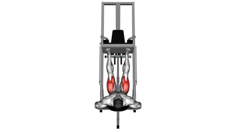 Sled 45° Leg Press: Ultimate Guide & Tips