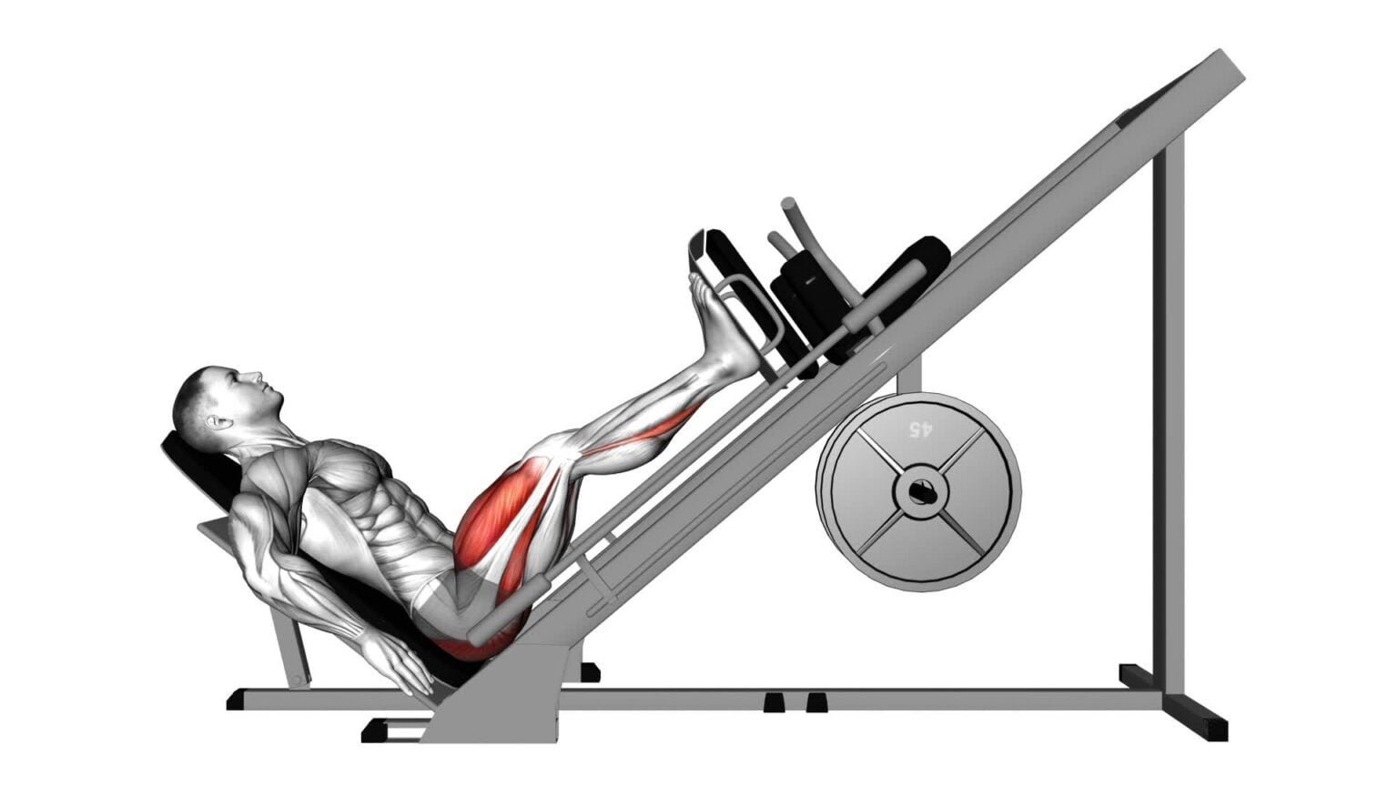Sled 45° Leg Press: Ultimate Guide & Tips