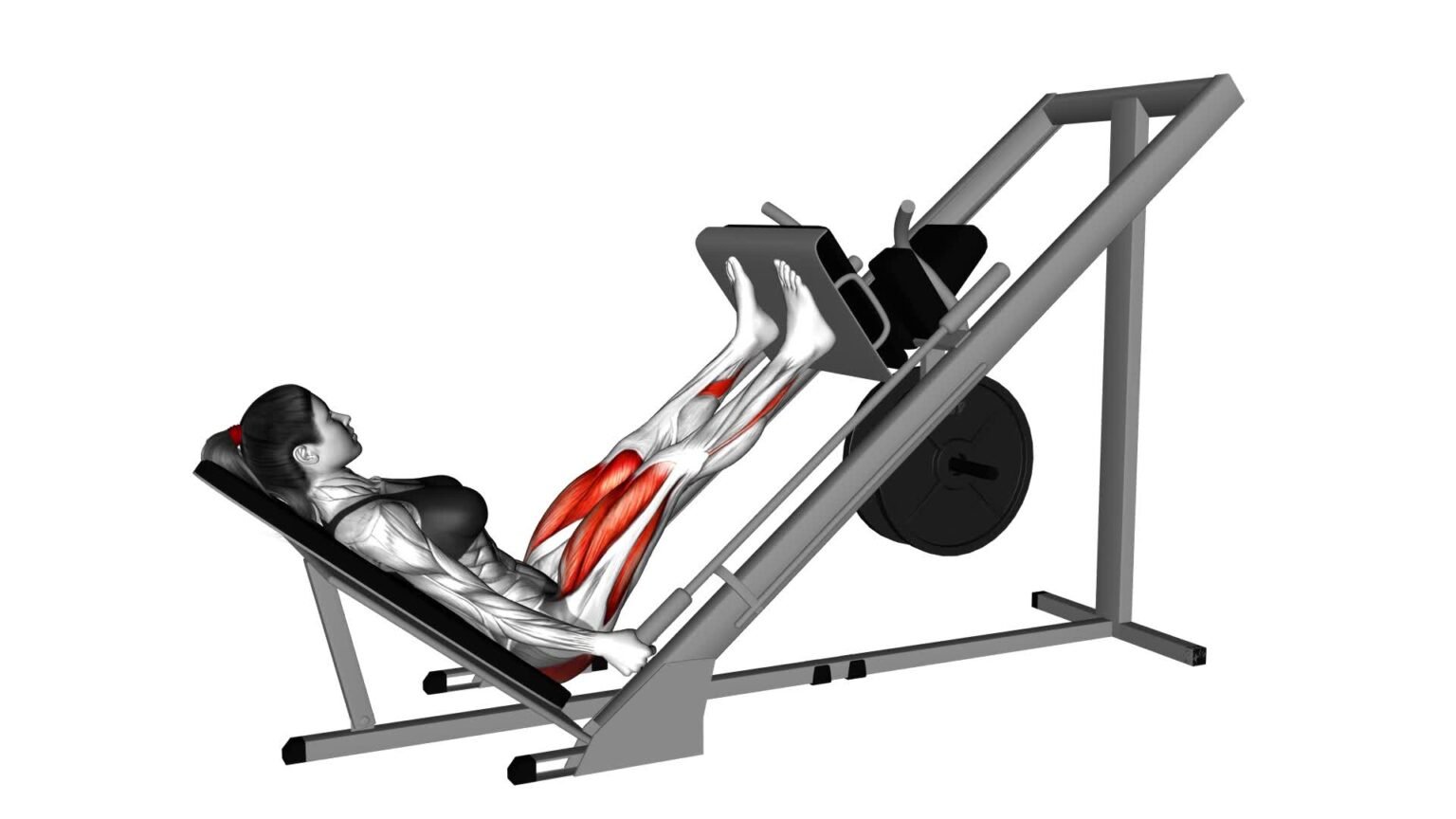 45° Leg Press For Women: Ultimate Video Guide & Tips