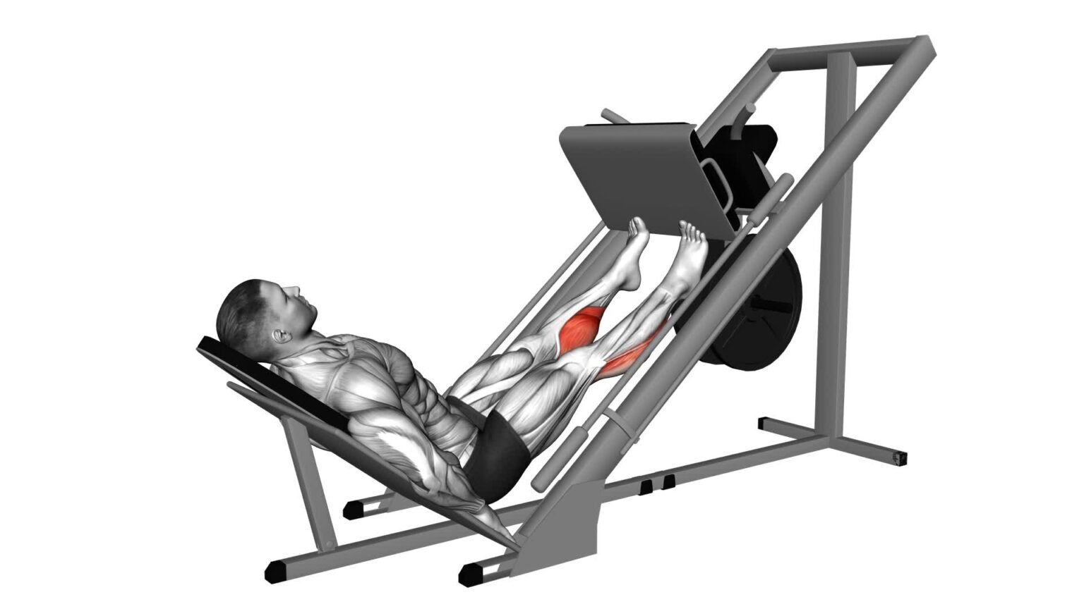 Sled 45 Leg Wide Press - Exercise Guide & Tips