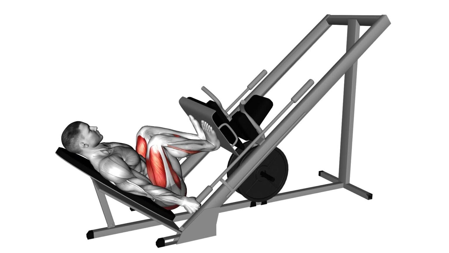 Sled Narrow Stance Leg Press: Video Guide & Tips