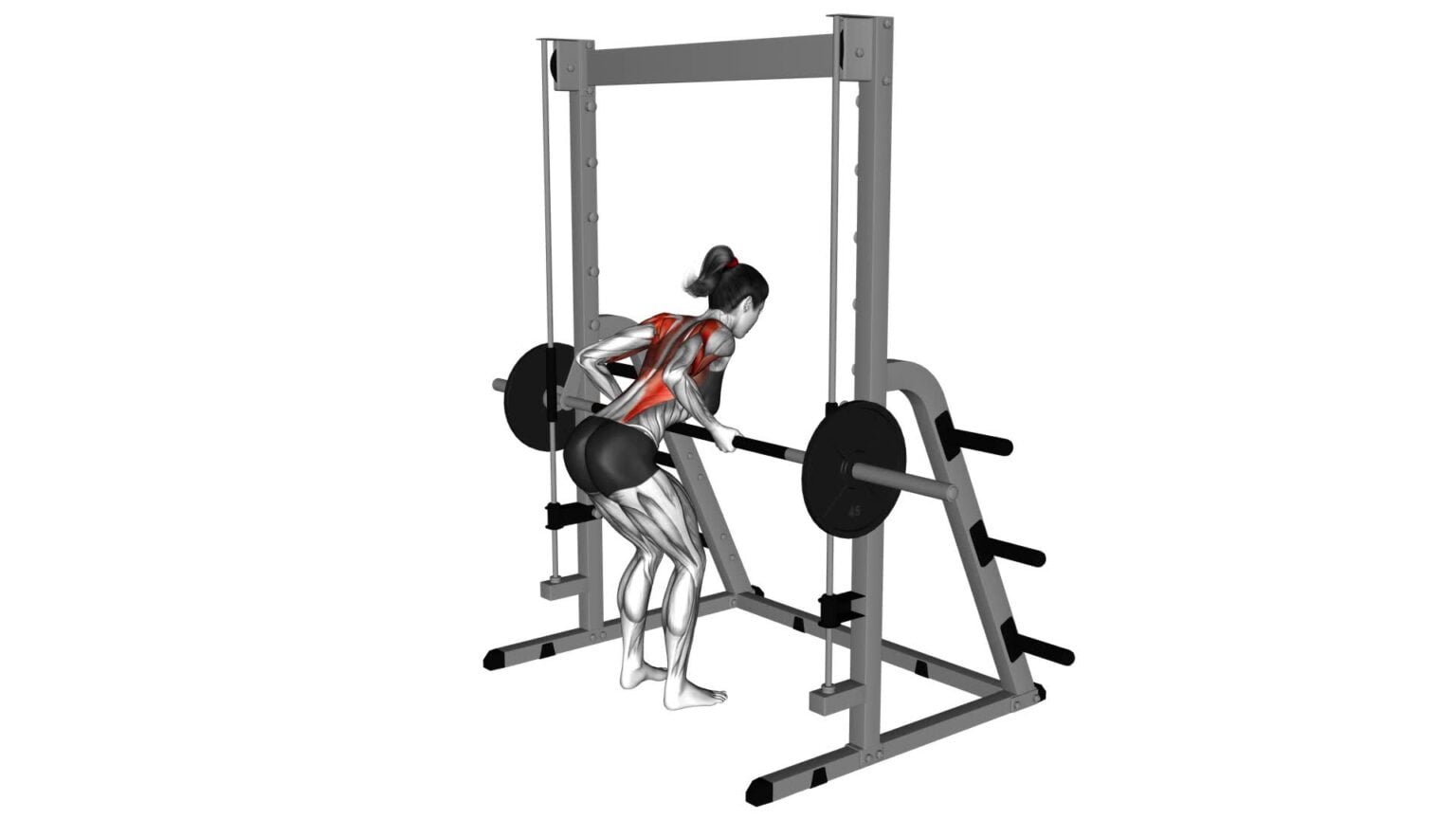 Smith Bent Over Row (VERSION 2) - Female Video Guide & Tips