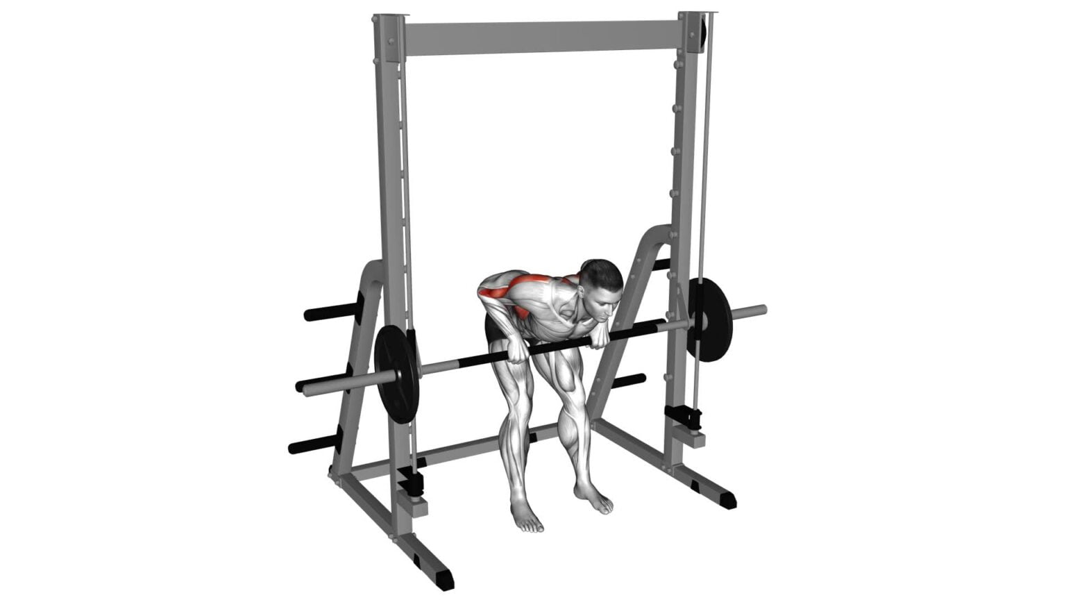 Smith Bent Over Row (v2) - Video Guide & Tips For Effective Exercise