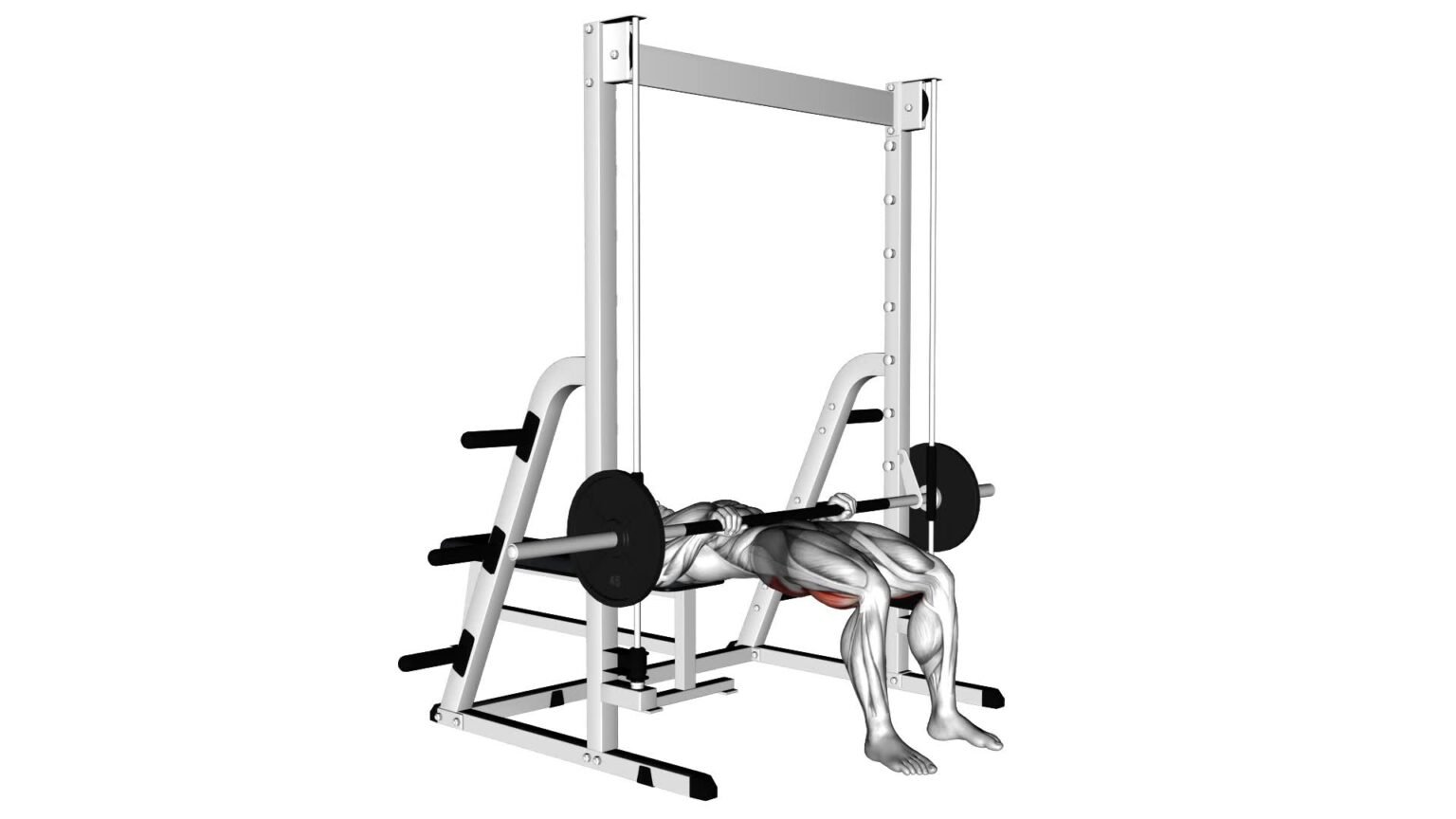 Smith Kneeling Hip Thrust: Ultimate Exercise Guide & Tips