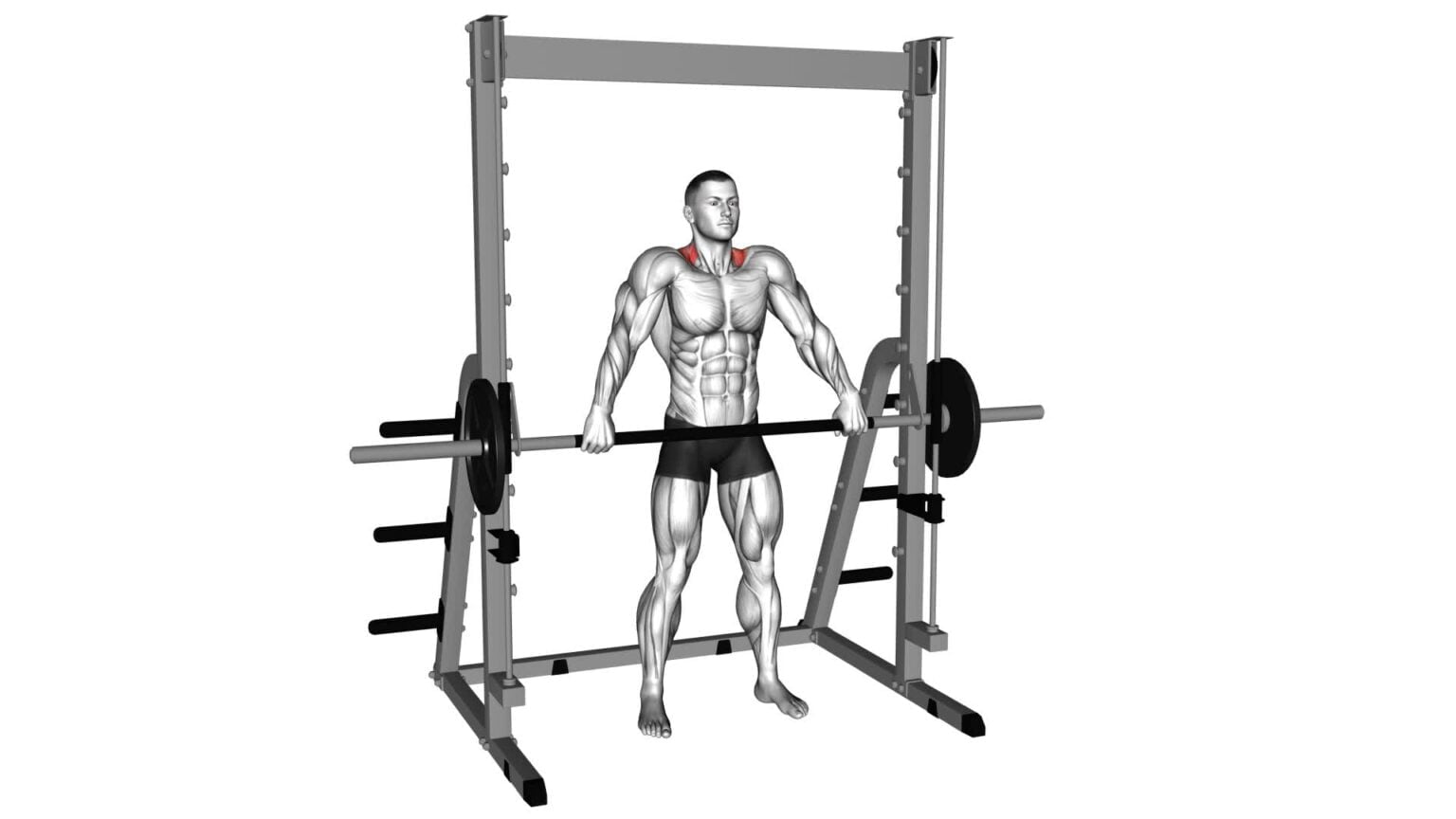 Barbell Back Wide Shrug: Ultimate Guide & Tips