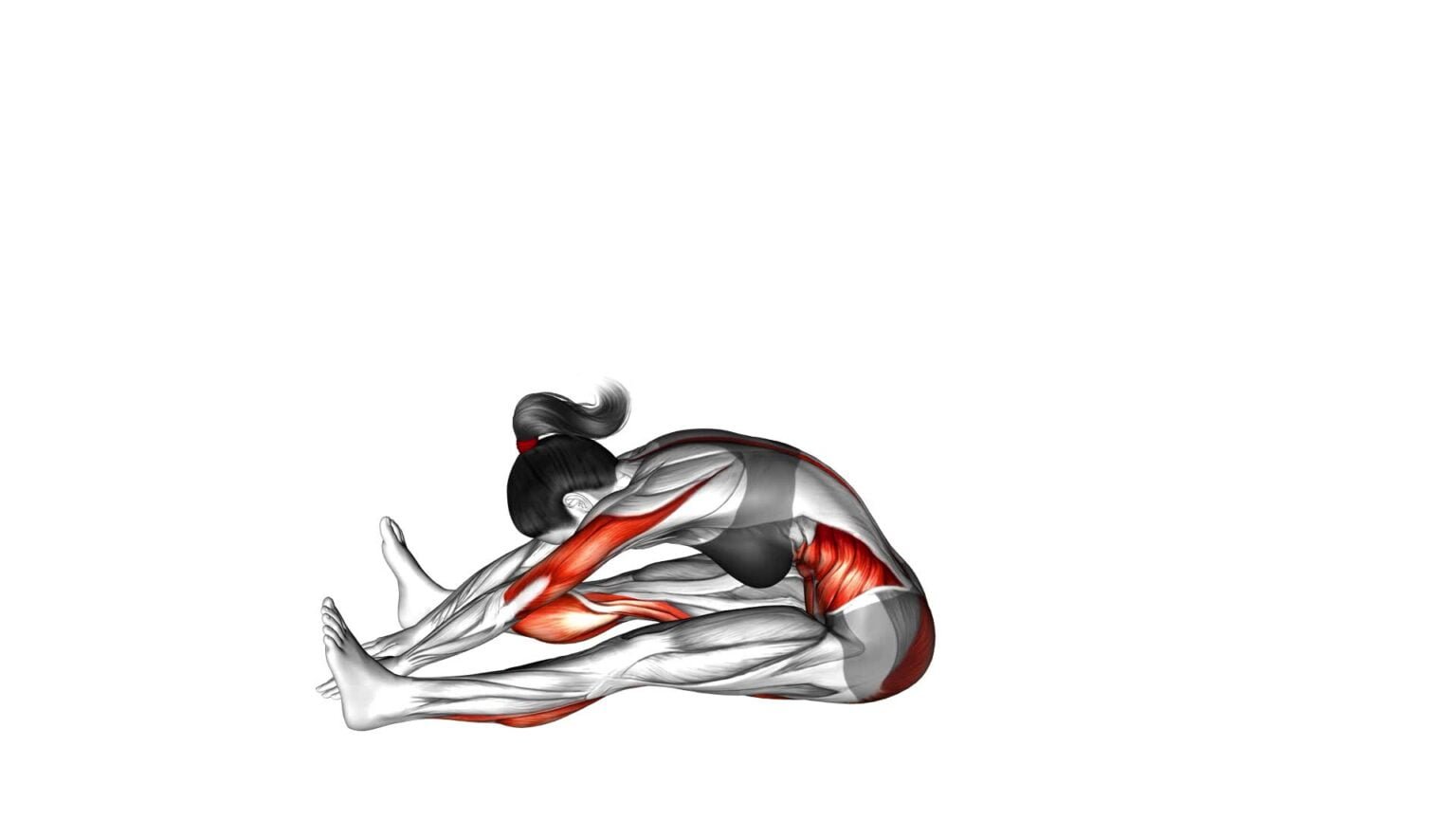 Spine Stretch Forward: Video Guide & Tips For Effective Exercise