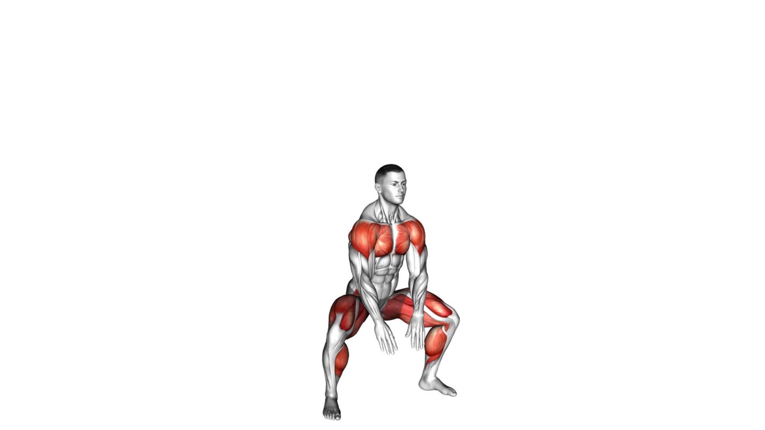Squat Bounce Sky Punch (Male): Video Guide & Tips For Effective Exercise