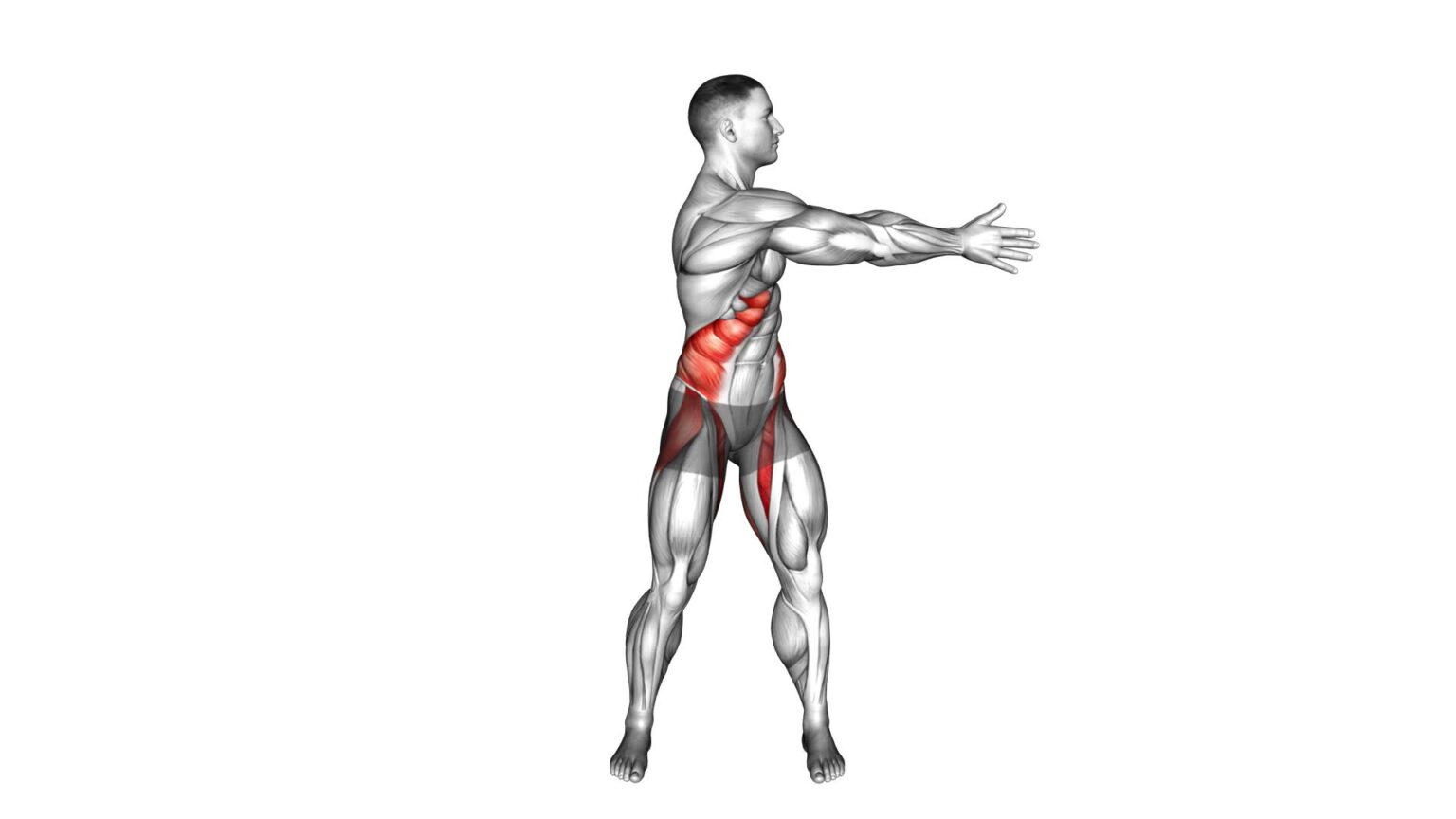 Standing Ab Twist (male) - Video Guide & Tips For Effective Core Workout