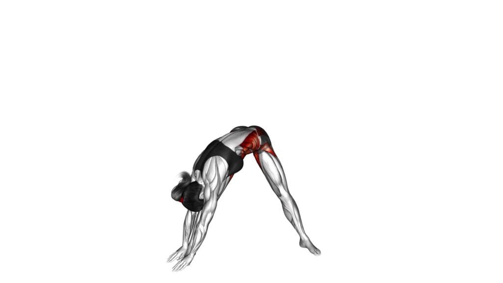 Bent Knee Hip Adductor Stretch Video Guide And Tips