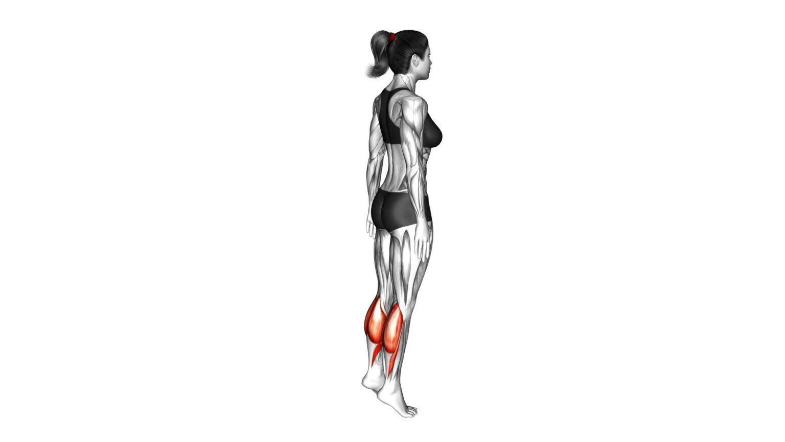 Female Standing Calf Raise: Video Guide & Tips For Effective Exercise