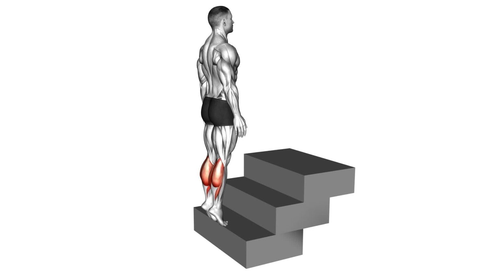Standing Calf Raise: Staircase Exercise Guide & Tips