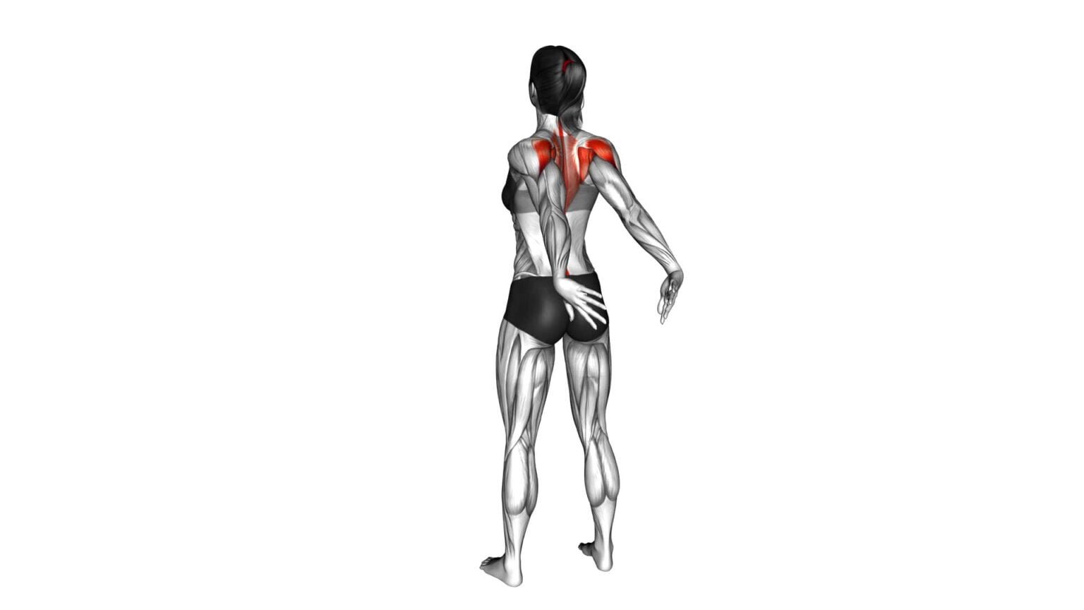 Female Forward Bend Back Stretch: Video Guide & Tips For Effective Exercise