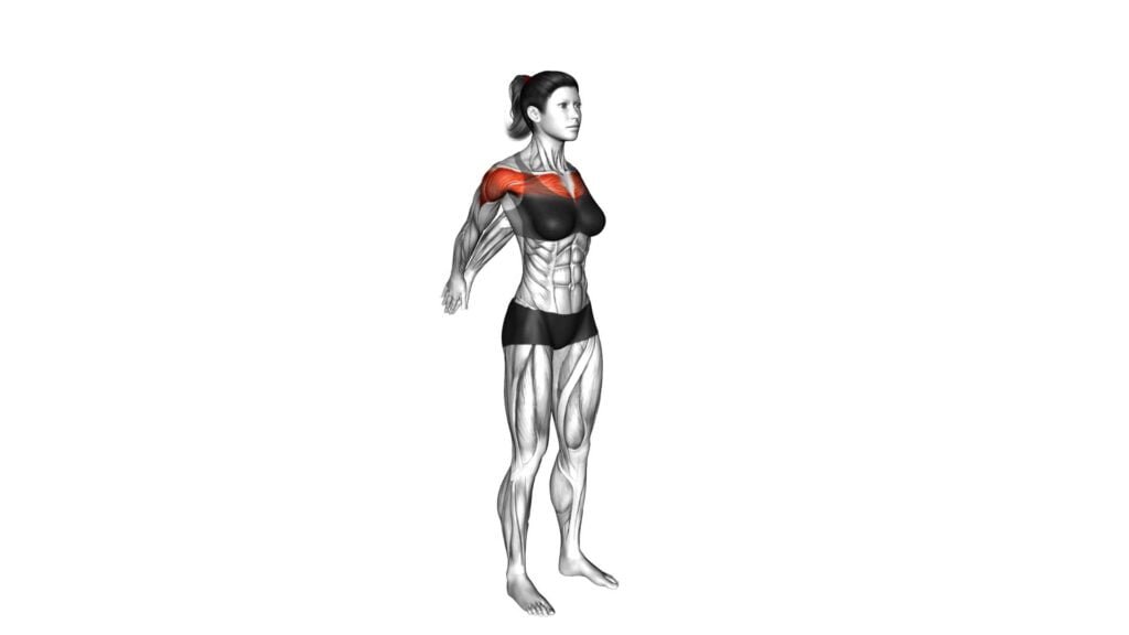 Front Clap Back Clap (Female) - Video Exercise Guide & Tips