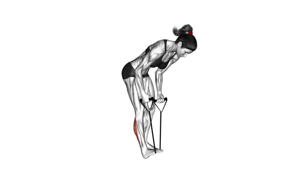 Seated Hamstring Stretch: Chair Exercise Guide & Tips