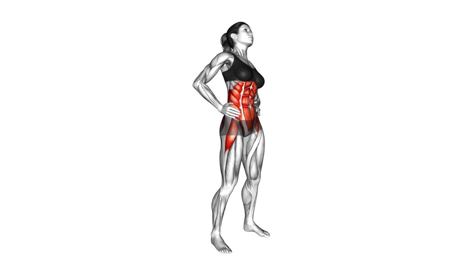 Standing Hip Circle (Female): Video Guide & Tips For Effective Exercise