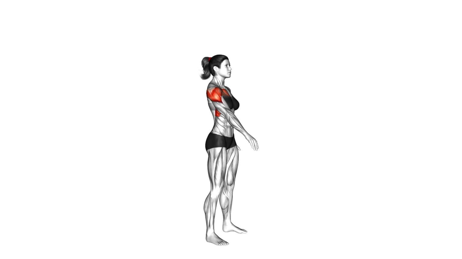 One Arm Circling Exercise Guide & Tips - Female Video Tutorial