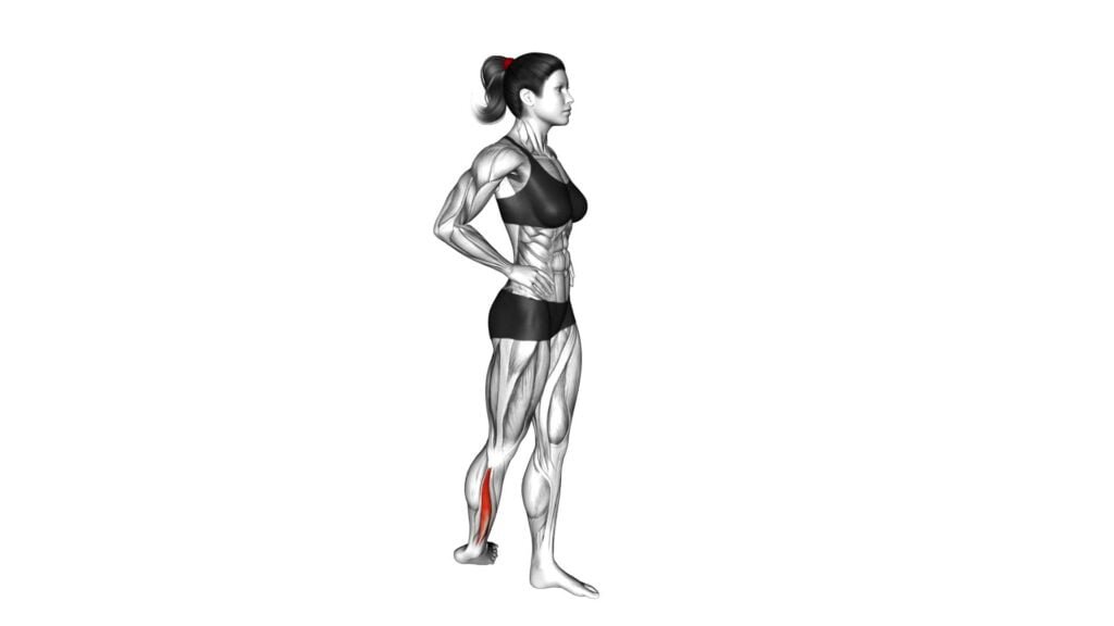 Peroneus Muscles Stretch: Video Guide & Tips For Females