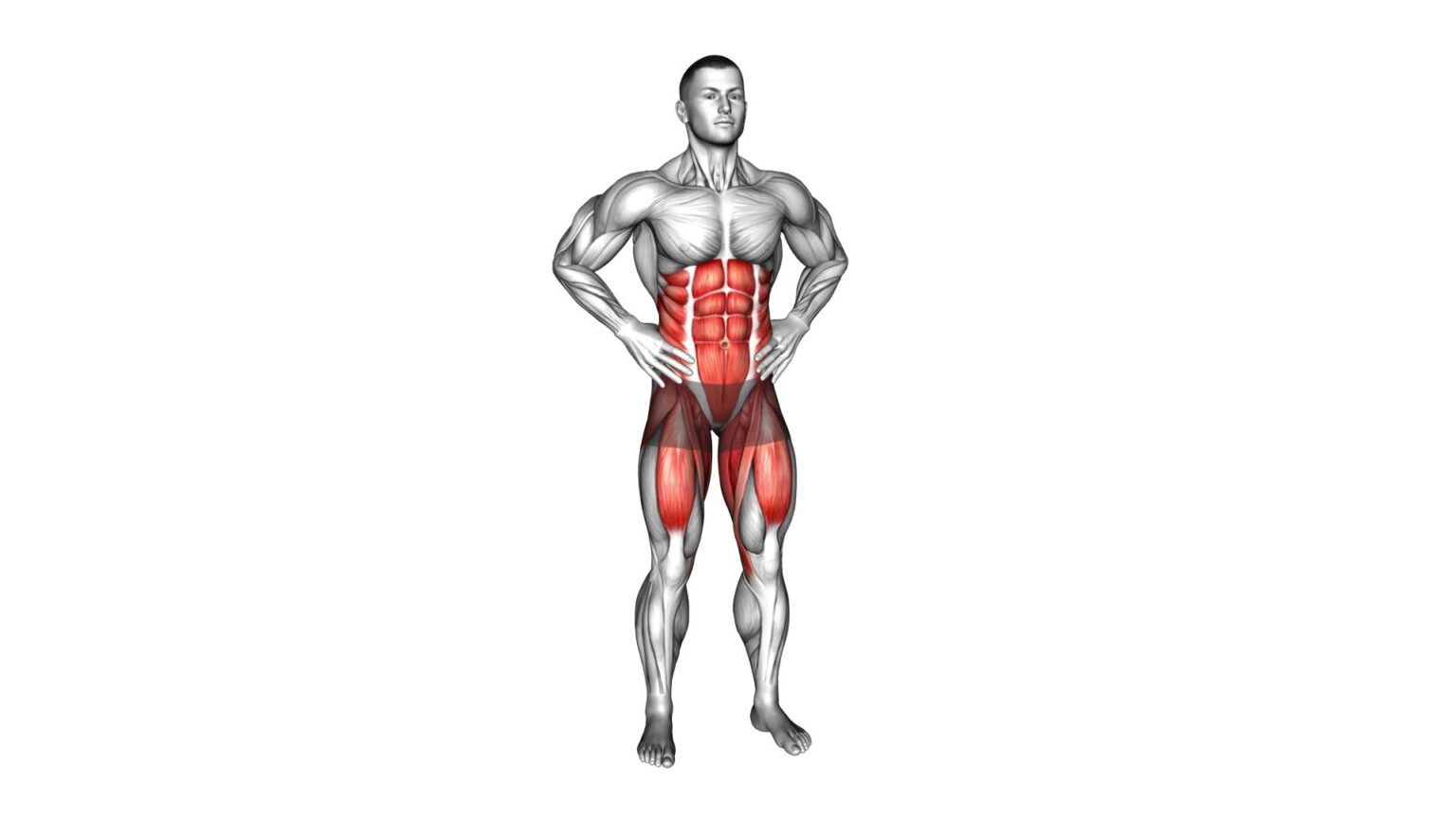 Standing Leg Raise: Video Guide & Tips For Stronger Side And Front Legs