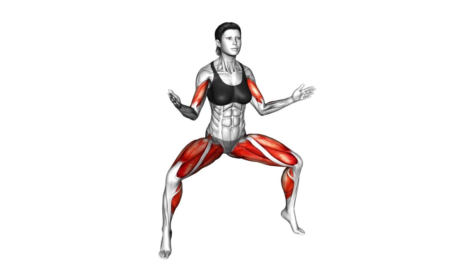 Sumo Quarter Squat Tip Toe Female Arms Curl Video Guide And Tips