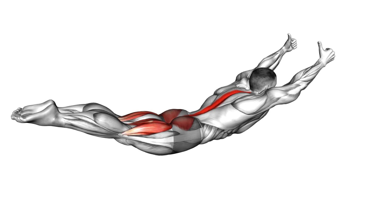Superman Hold (male) - Exercise Guide & Tips
