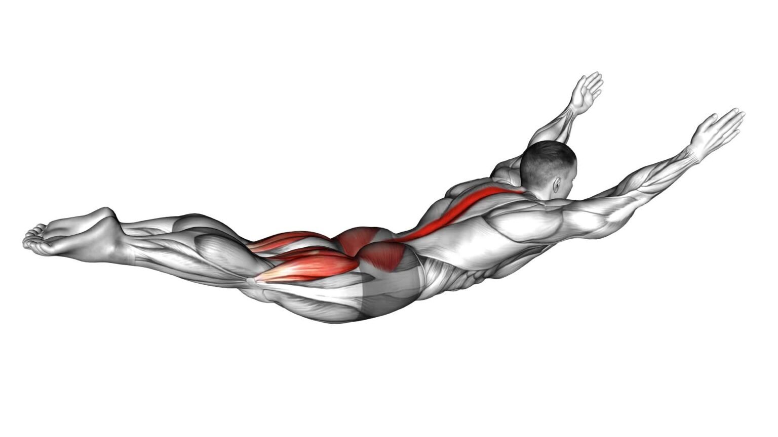 Superman Exercise: Video Guide & Tips For A Strong Core