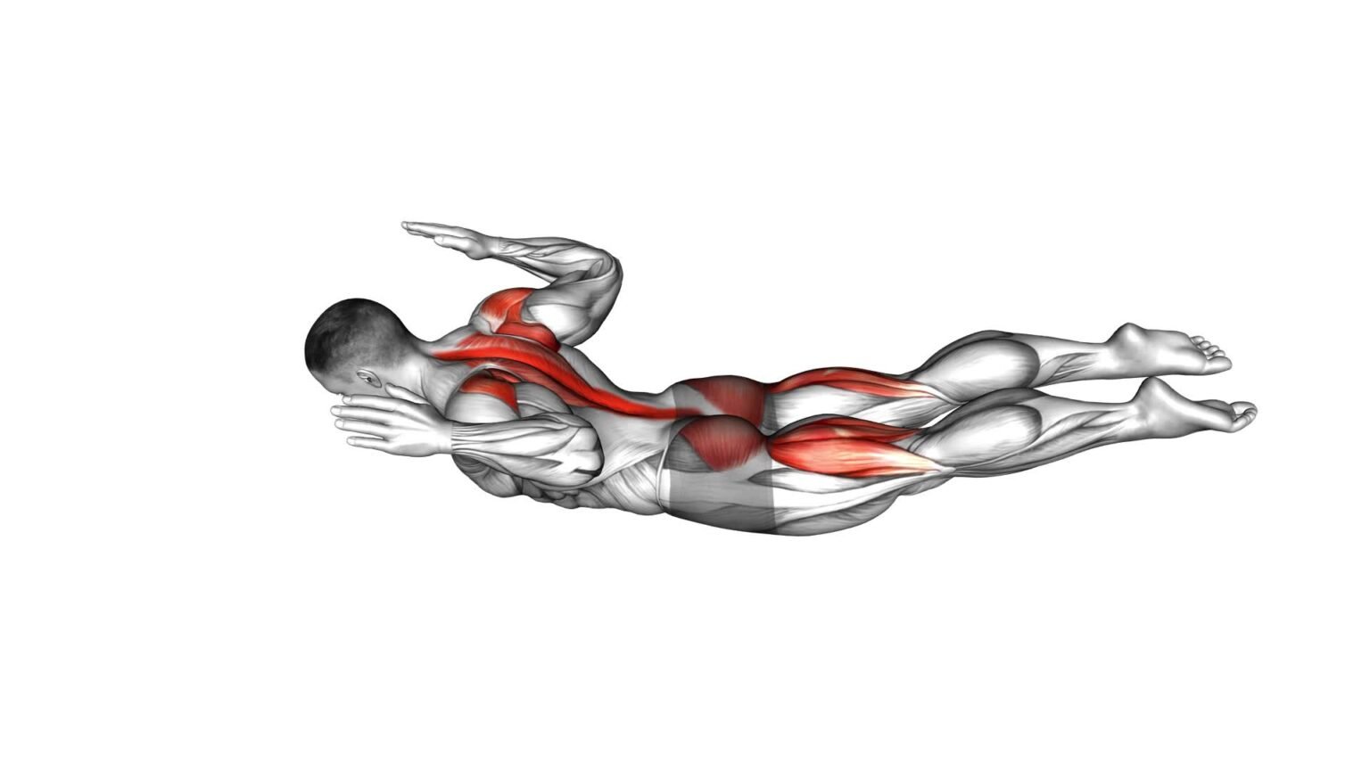 Superman W Exercise Guide: Tips For A Stronger Core
