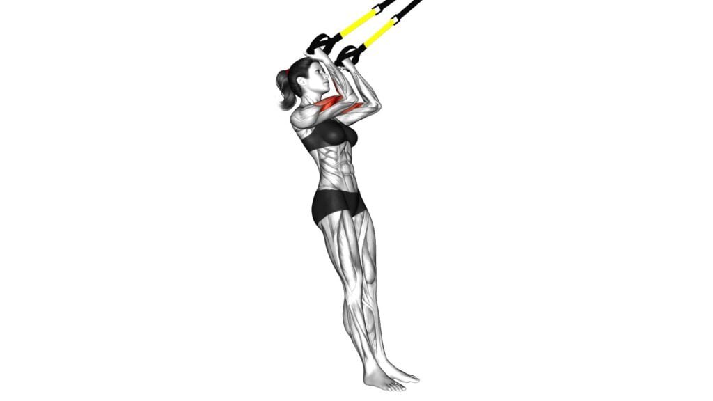 Suspender Arm Curl To Ears (female) - Video Exercise Guide & Tips ...