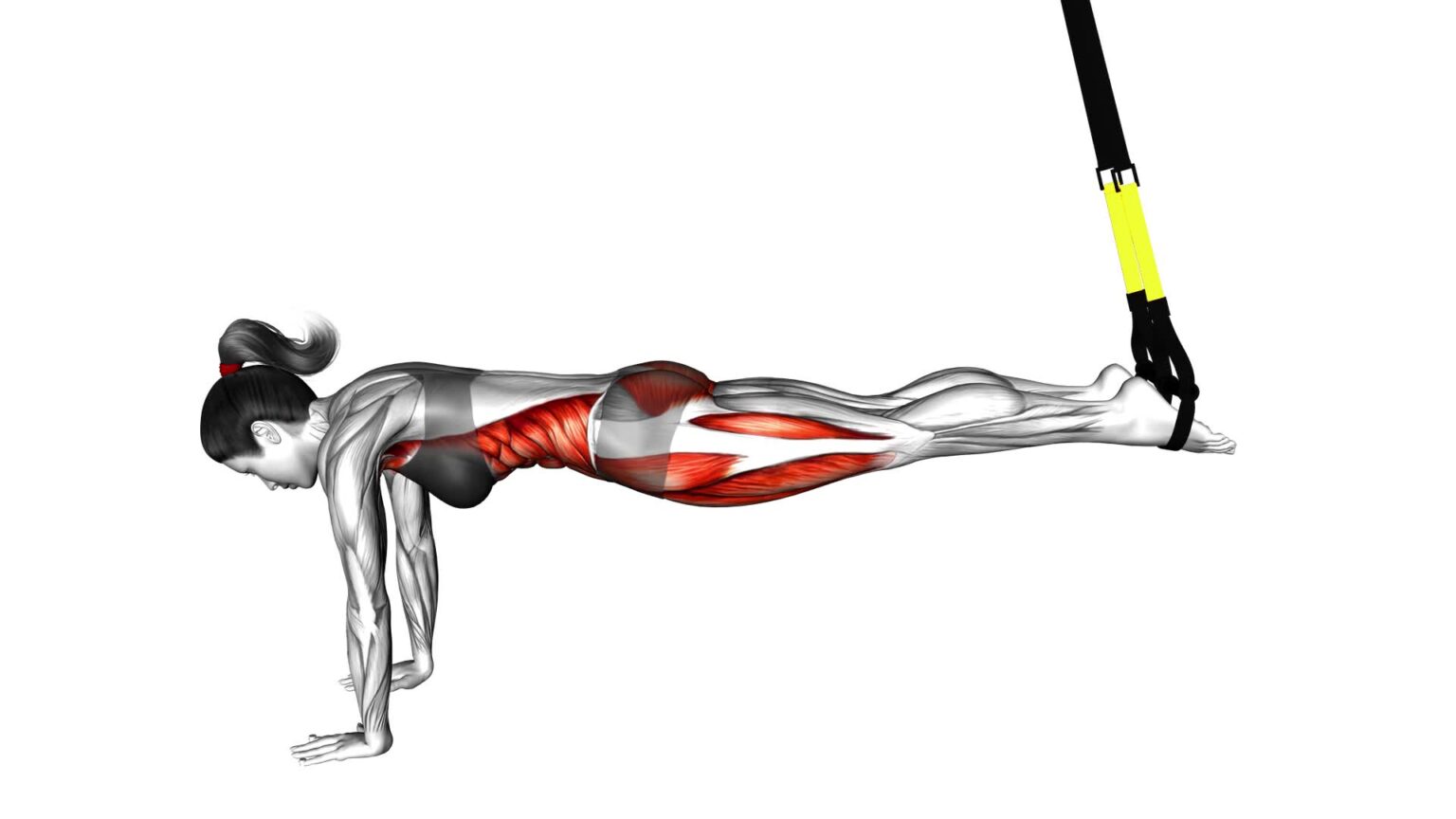 Suspender Front Plank: Ultimate Guide & Tips (female) - Video Exercise