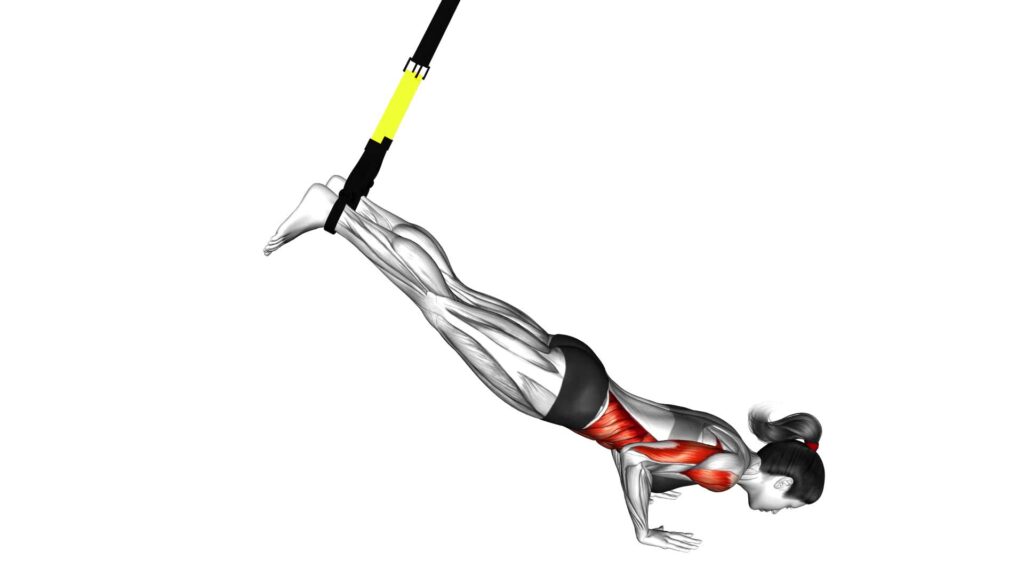 Suspender Incline Push-up: Video Guide & Tips For Female Fitness