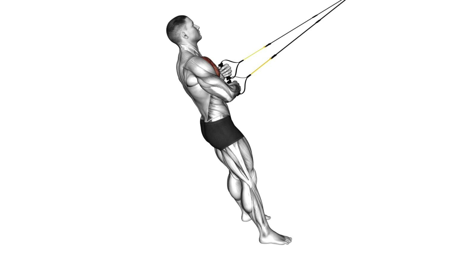 Suspender Internal Rotation: Video Guide & Tips