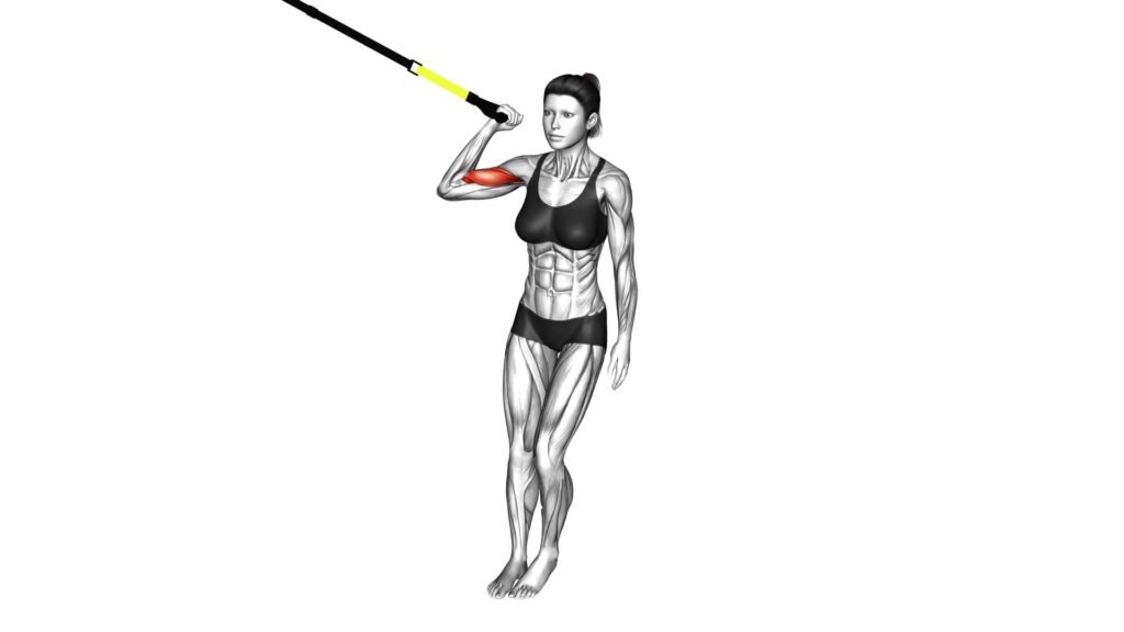 One Arm Biceps Curl For Women - Video Guide & Tips