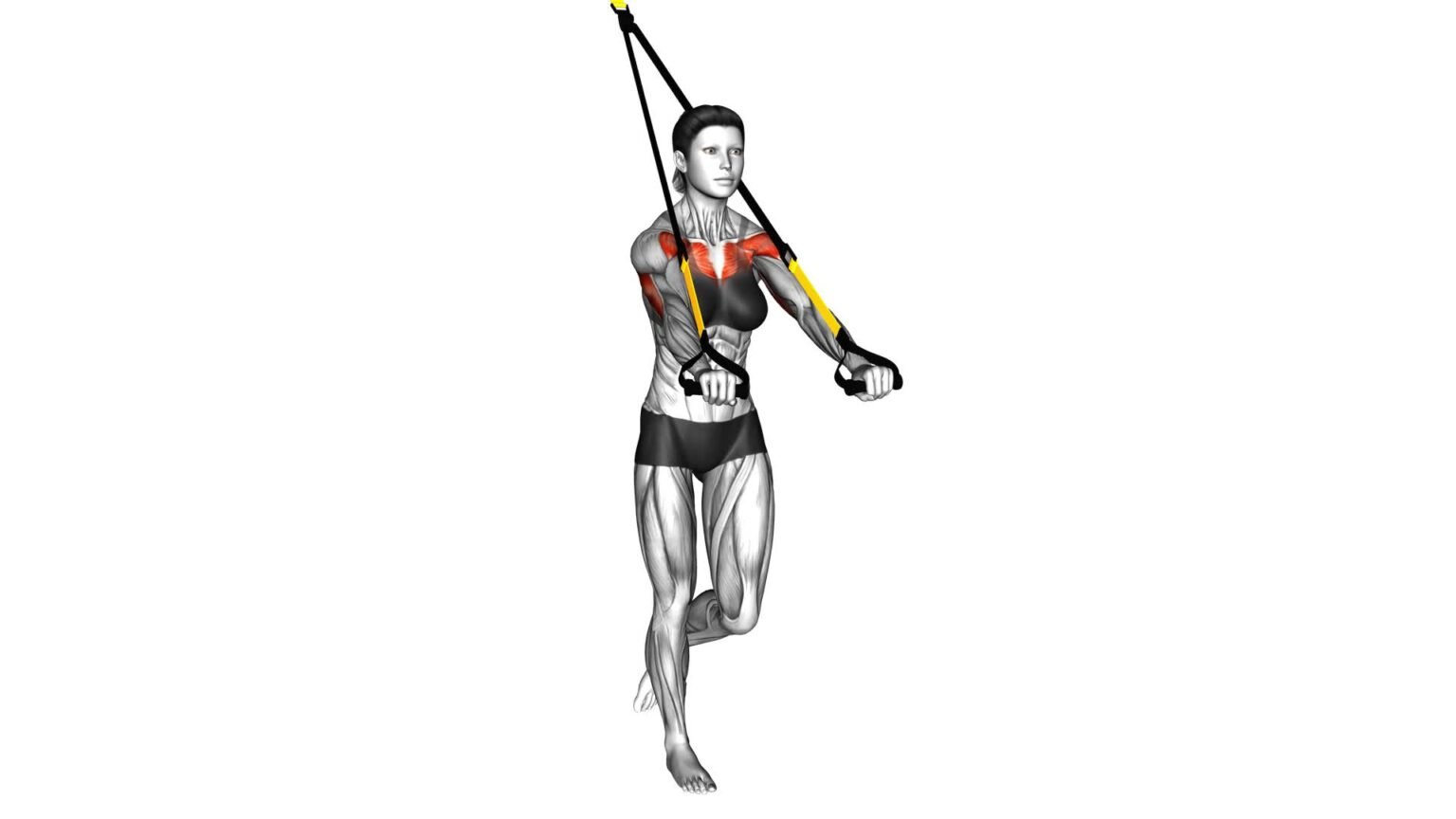 Suspender Chest Press: Female Video Guide & Tips