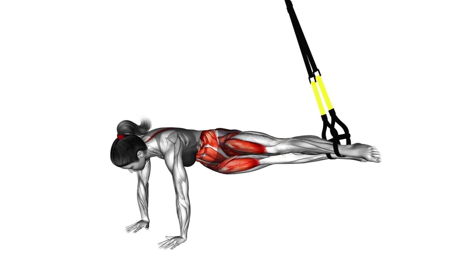 Suspender Pendulum (female) - Video Exercise Guide & Tips For A Strong Core