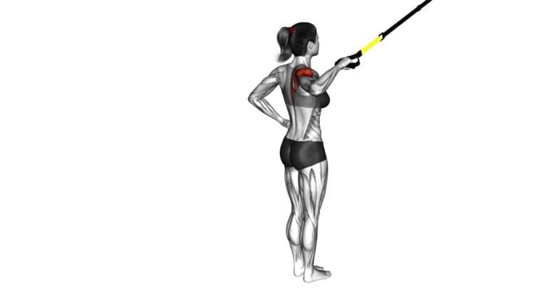 Rear Delt Row: Strengthen Your Back With Suspender Single Arm Exercise ...