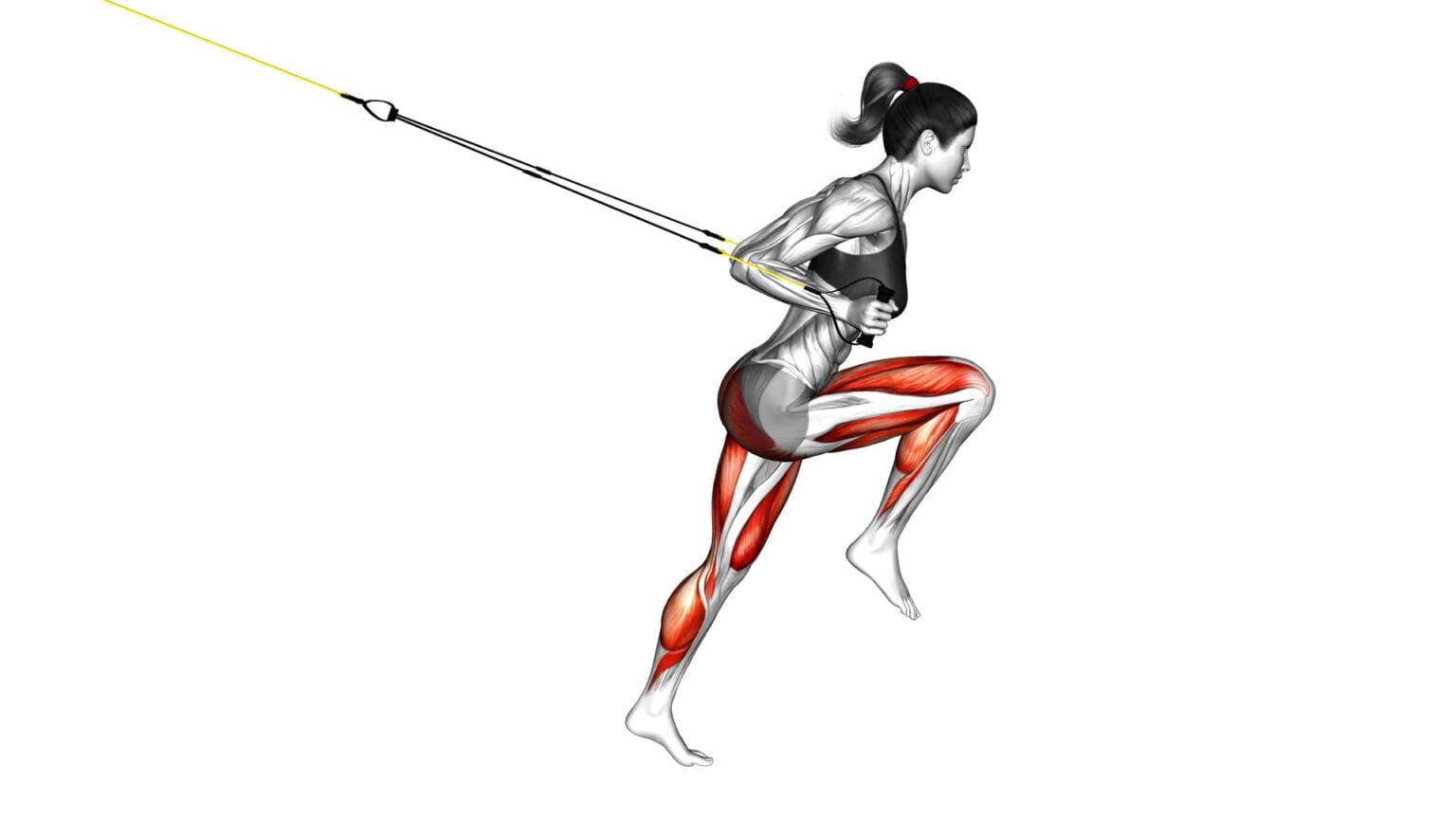 Suspender Sprinter (female): Video Exercise Guide & Tips For Maximum Impact