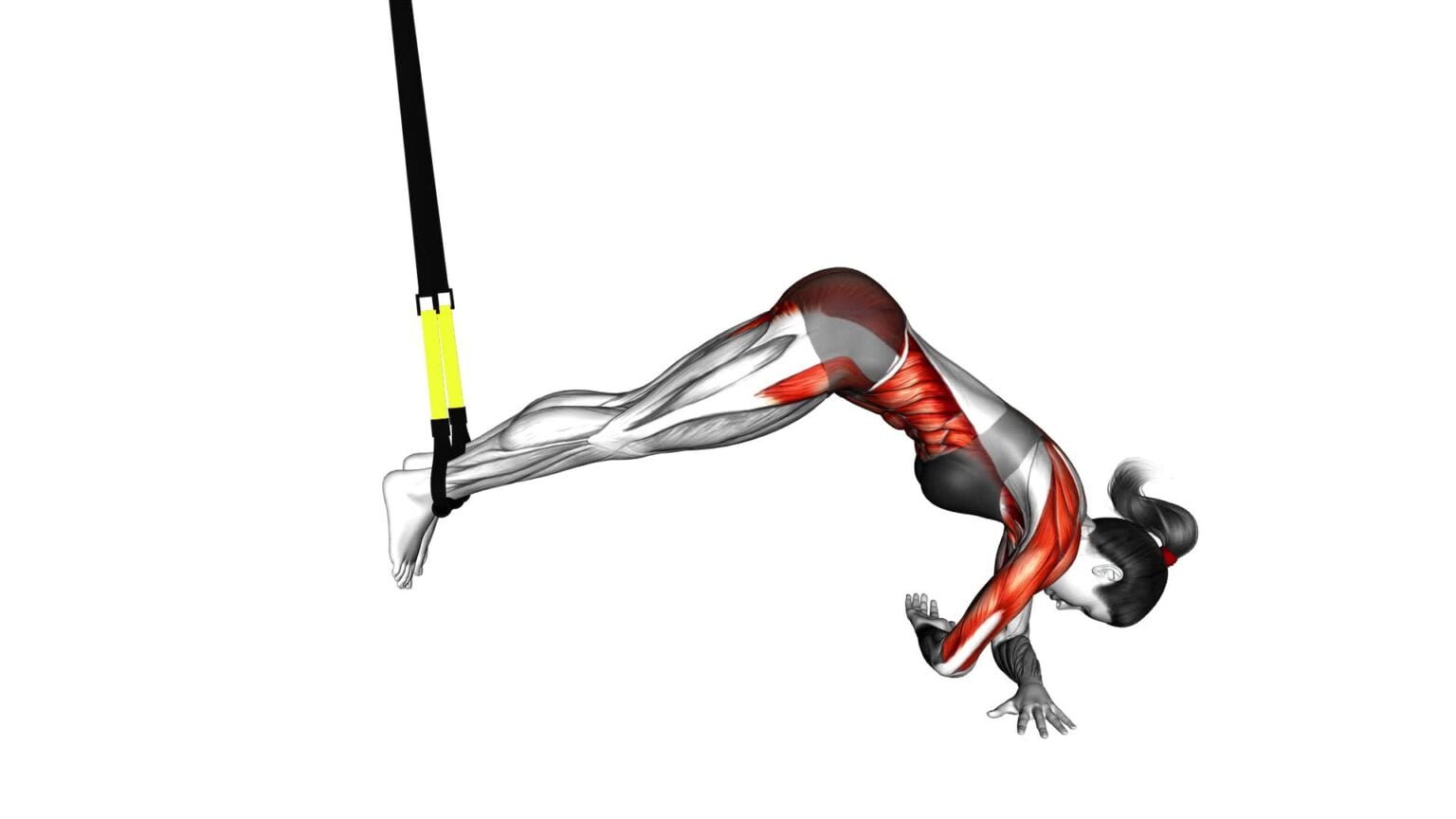 Get Fit With Suspender Twist Side: Video Guide & Tips