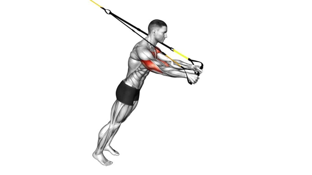 Suspension Close Grip Chest Press (Male) - Exercise Guide & Tips