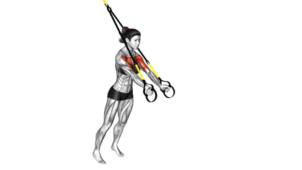 Suspension Fly: Ultimate Exercise Guide & Tips